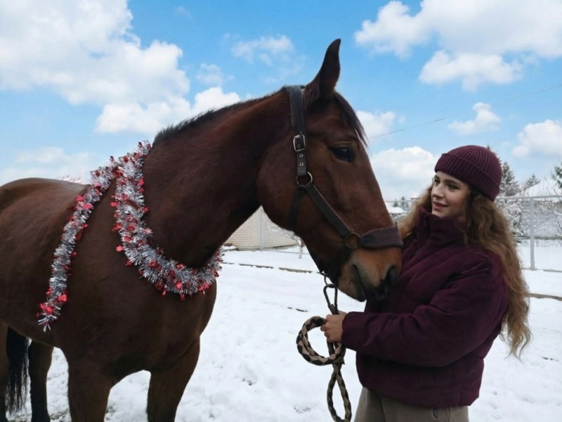 Конноспортивный клуб «Звезда» поздравляет мичуринцев с наступающим ...