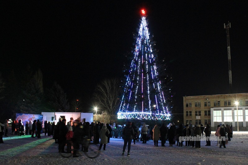 Главную ёлку Никифоровского округа открыли в посёлке Дмитриевка | Знамя